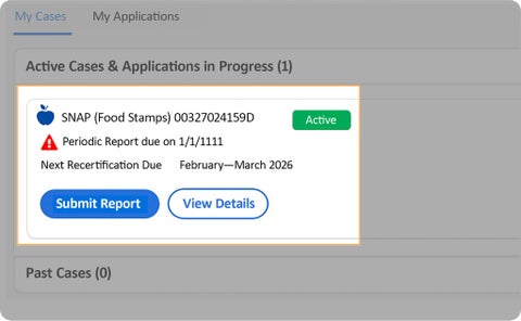 SNAP Benefits in NYC - Food Stamps Guide - nyc.gov