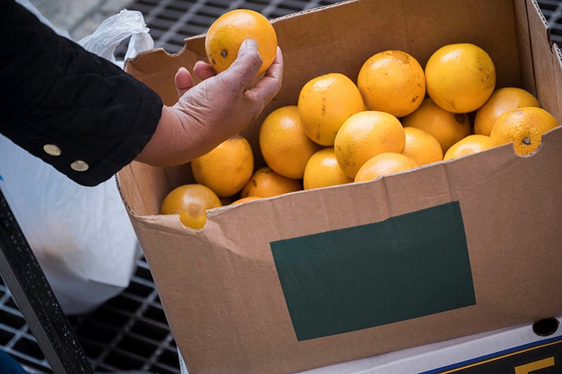 SNAP Benefits in NYC - Food Stamps Guide - nyc.gov