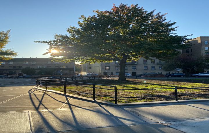 Bronx Community Board 5