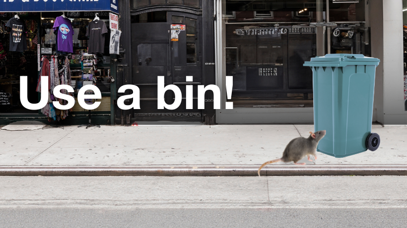 Rats unable to get into trash because it's in a garbage bin.