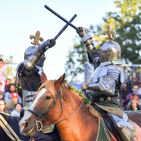 Medieval Festival | Events | City of New York