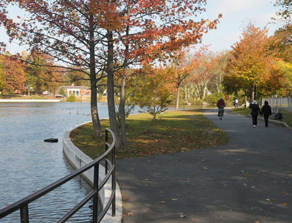 Queens Community Board 7