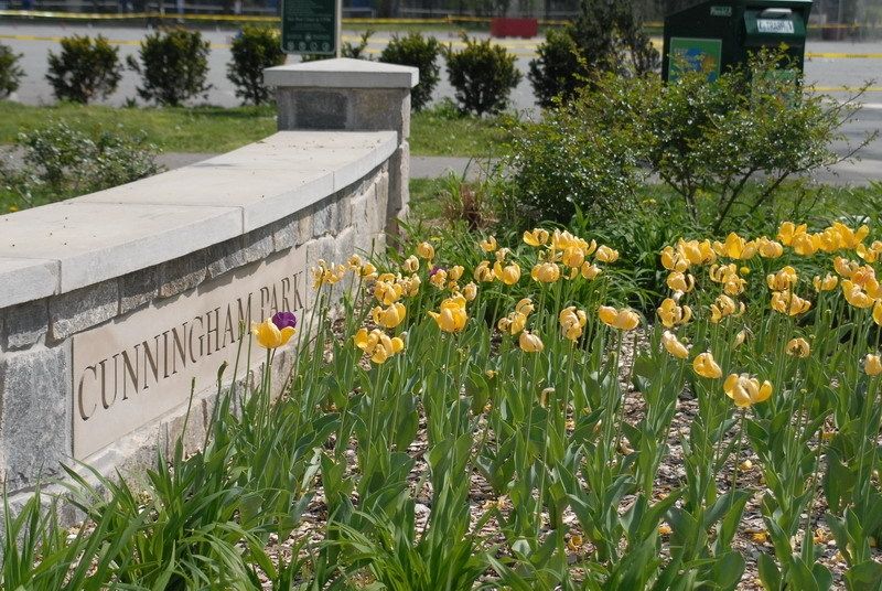 Queens Community Board 8